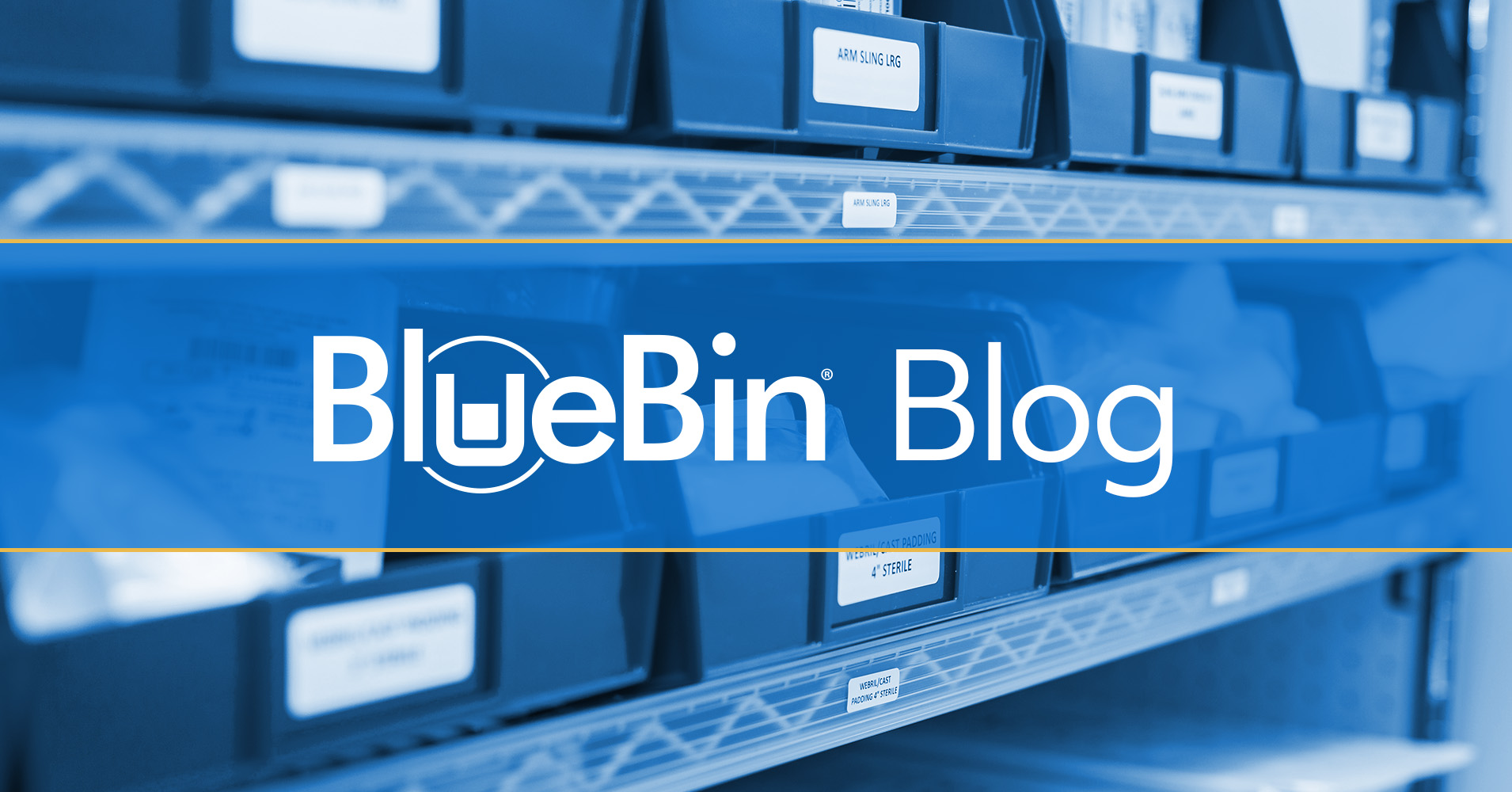 BlueBin Blog